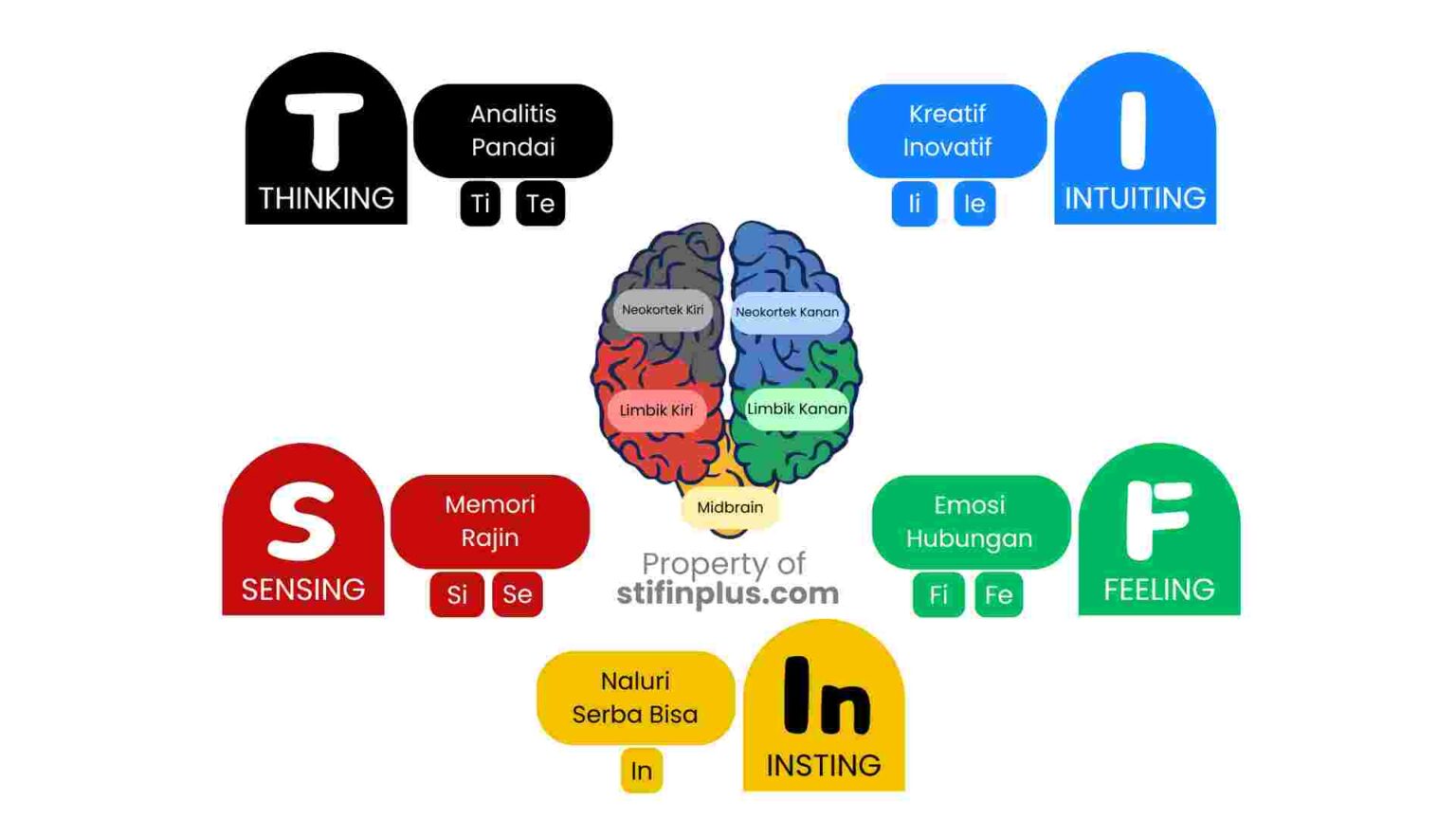 Tes STIFIn Genetic Official